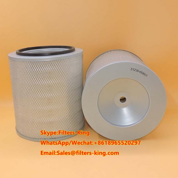 Filtro De Aire Mitsubishi 31230-60601 3123060601 AF351K 158878 299351 ...