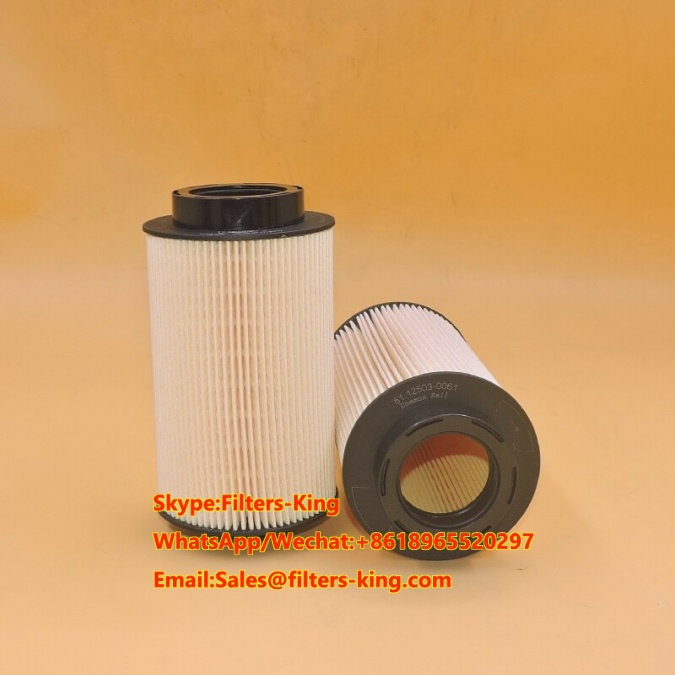 Filtro De Combustible 51.12503.0061 PF7935 P785373 FF5629 E422kpd98 ...