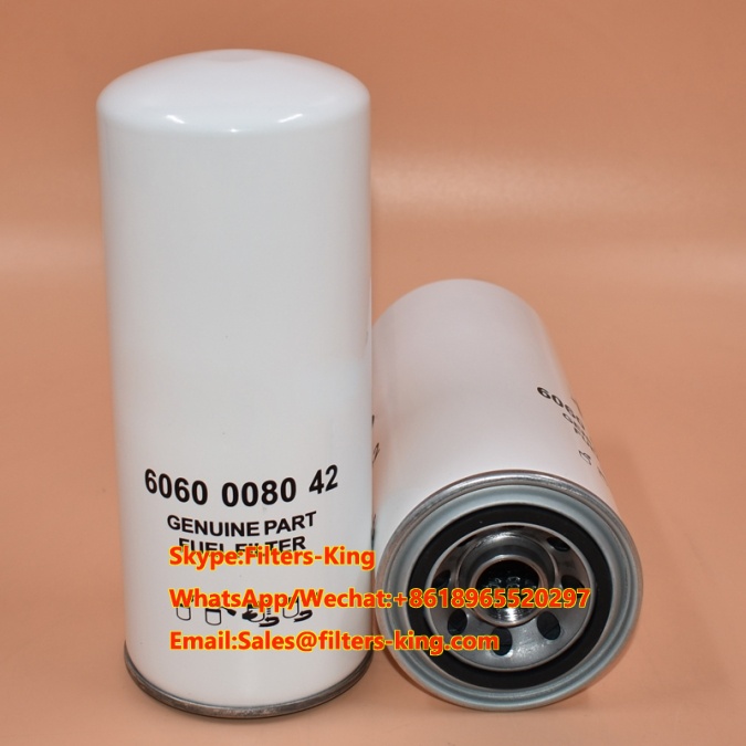 Filtro De Combustible 6060008042 6060 0080 42 BF7587 P551311 F75185 ...